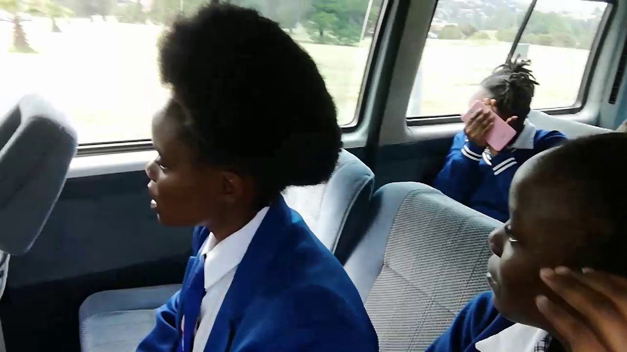 Bull Carabus - YouTube