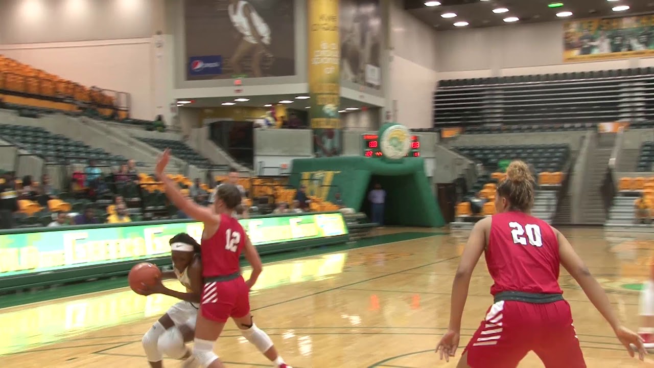 Norfolk State Women's Basketball vs Liberty Highlights - YouTube