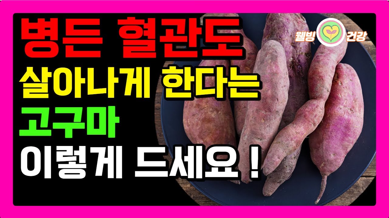 고구마와 절대 먹으면 안되는 음식 고구마의 놀라운 효능 고구마 먹으면 안되는 사람 동맥경화 고지혈증 혈관 건강에 좋습니다 고구마 부작용 심혈관 질환 예방