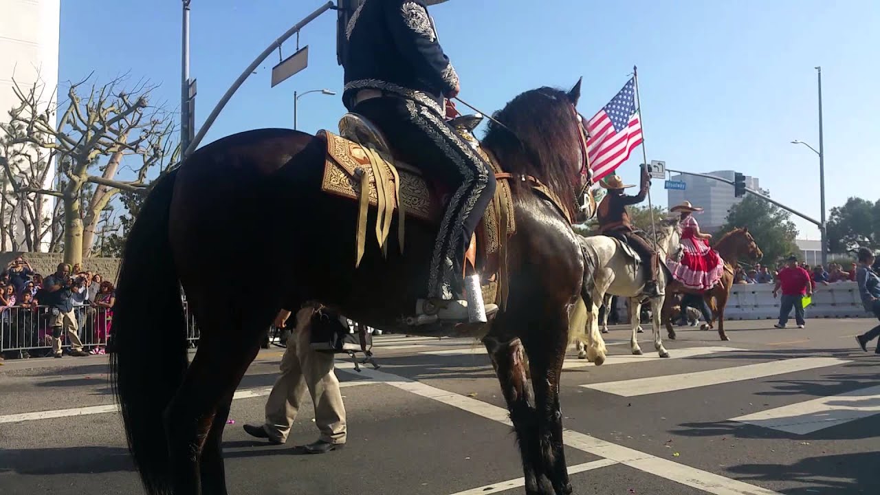 2016 Chinese New Year Parade (Tap Dancing Horses) - YouTube