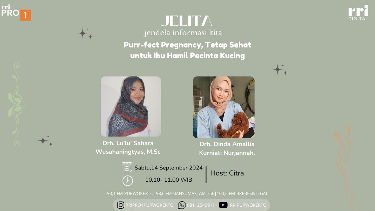 Purr-fect pregnancy Tetap sehat untuk ibu hamil pecinta kucing - YouTube