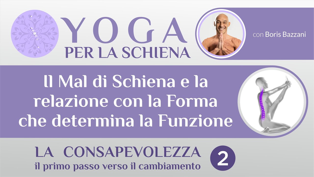 2. Il mal di schiena e la relazione con la forma che determina la ...