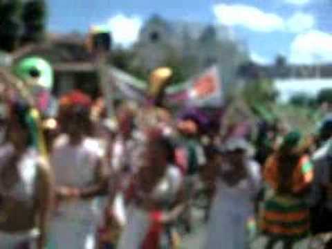 Trini Revellers Trinidad Carnival 2K8 - YouTube