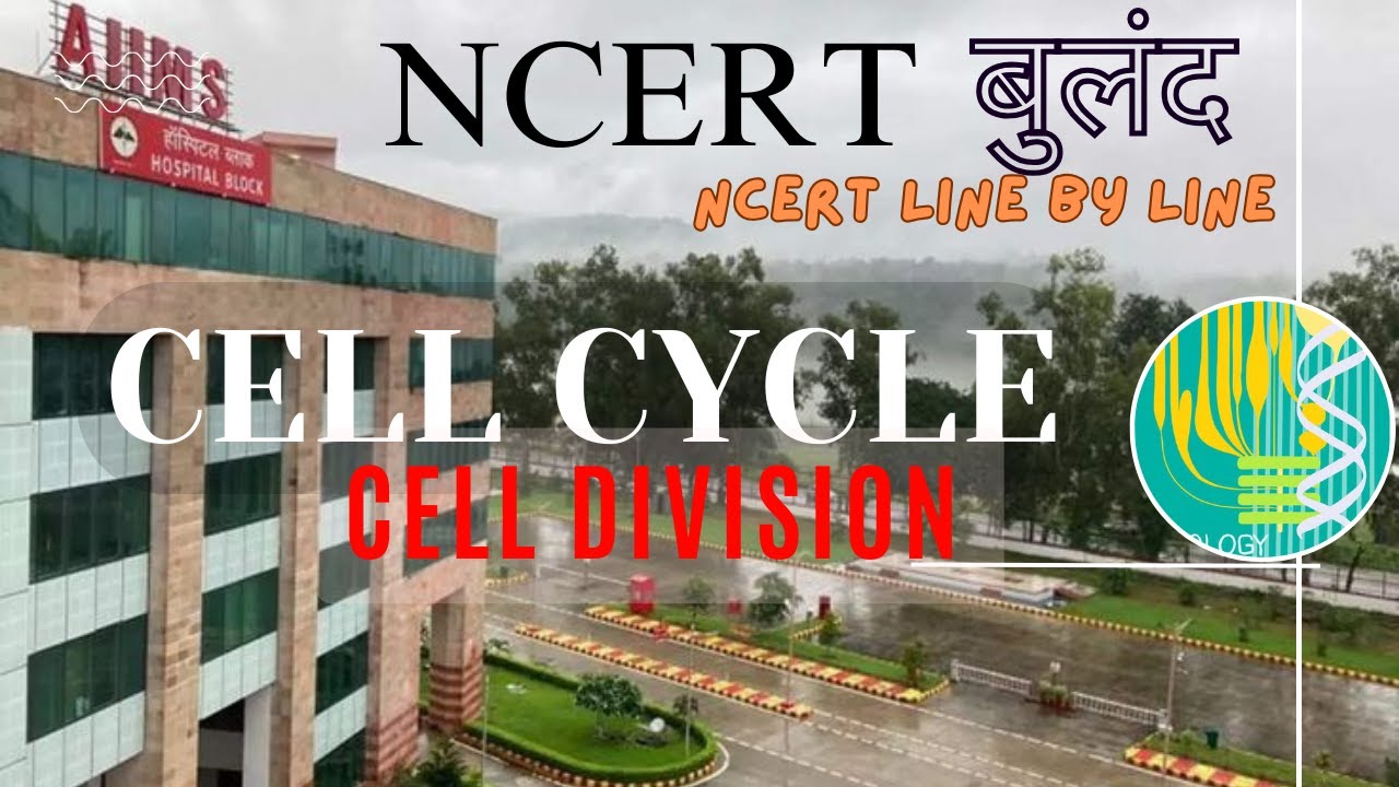 Cell cycle & Cell Division | NCERT Line By Line explanation | Class 11 ...