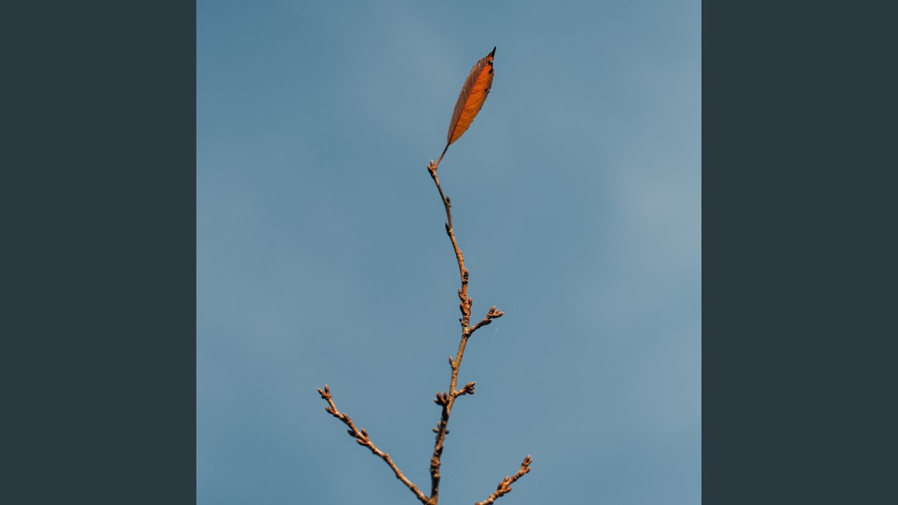 Cold Breeze - YouTube