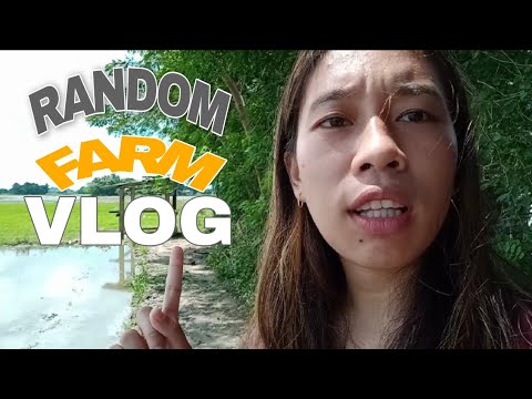 RANDOM FARM VLOG | RIZALYN ANACAN - YouTube