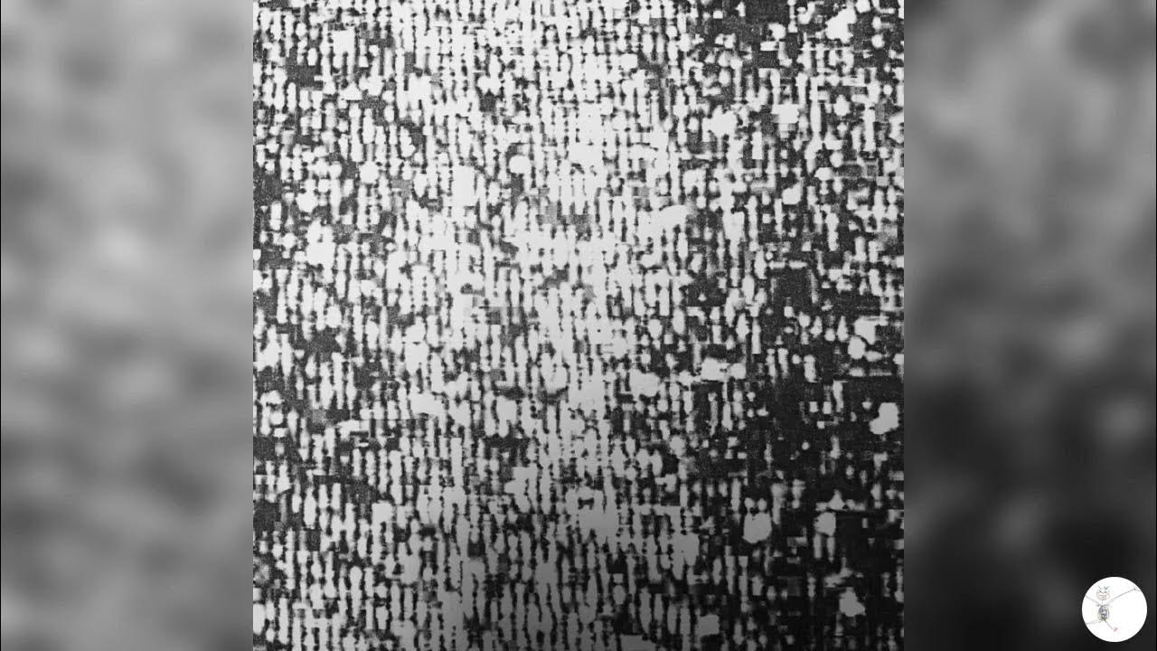The Shrinks In The Night YouTube the-shrinks-in-the-night-youtube