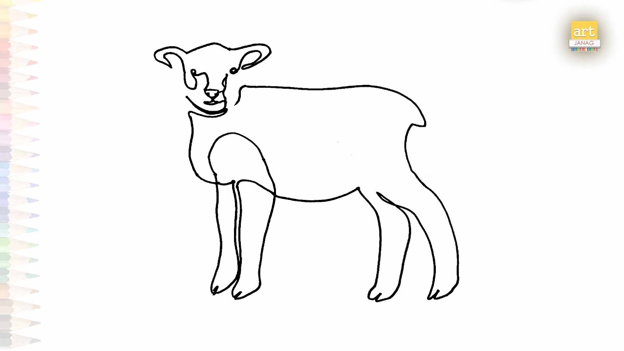 Lamb easy outline drawings | Art tutorial | How to draw A Lamb step by ...