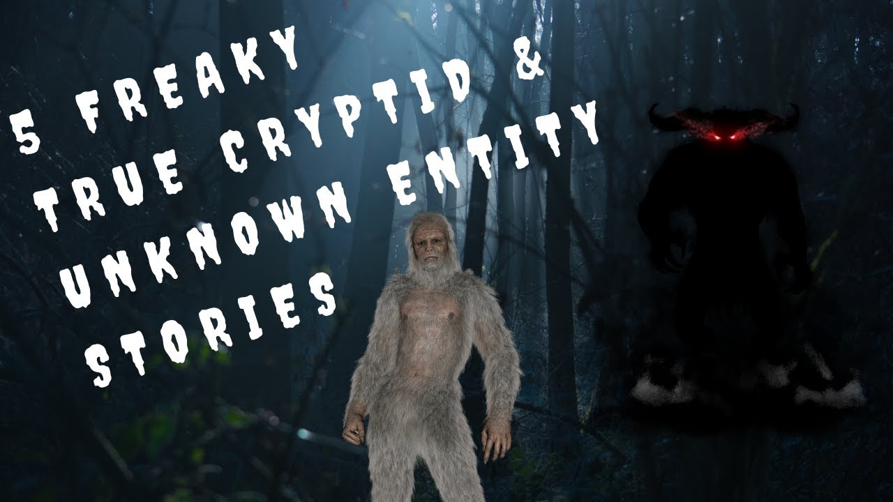 5 Freaky True Cryptid and Unknown Entity Stories - YouTube