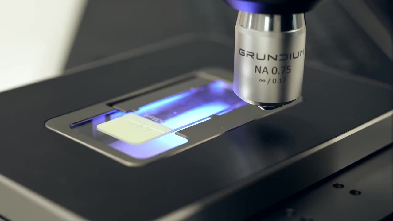 VETSCAN IMAGYST KI Dermatologie - YouTube