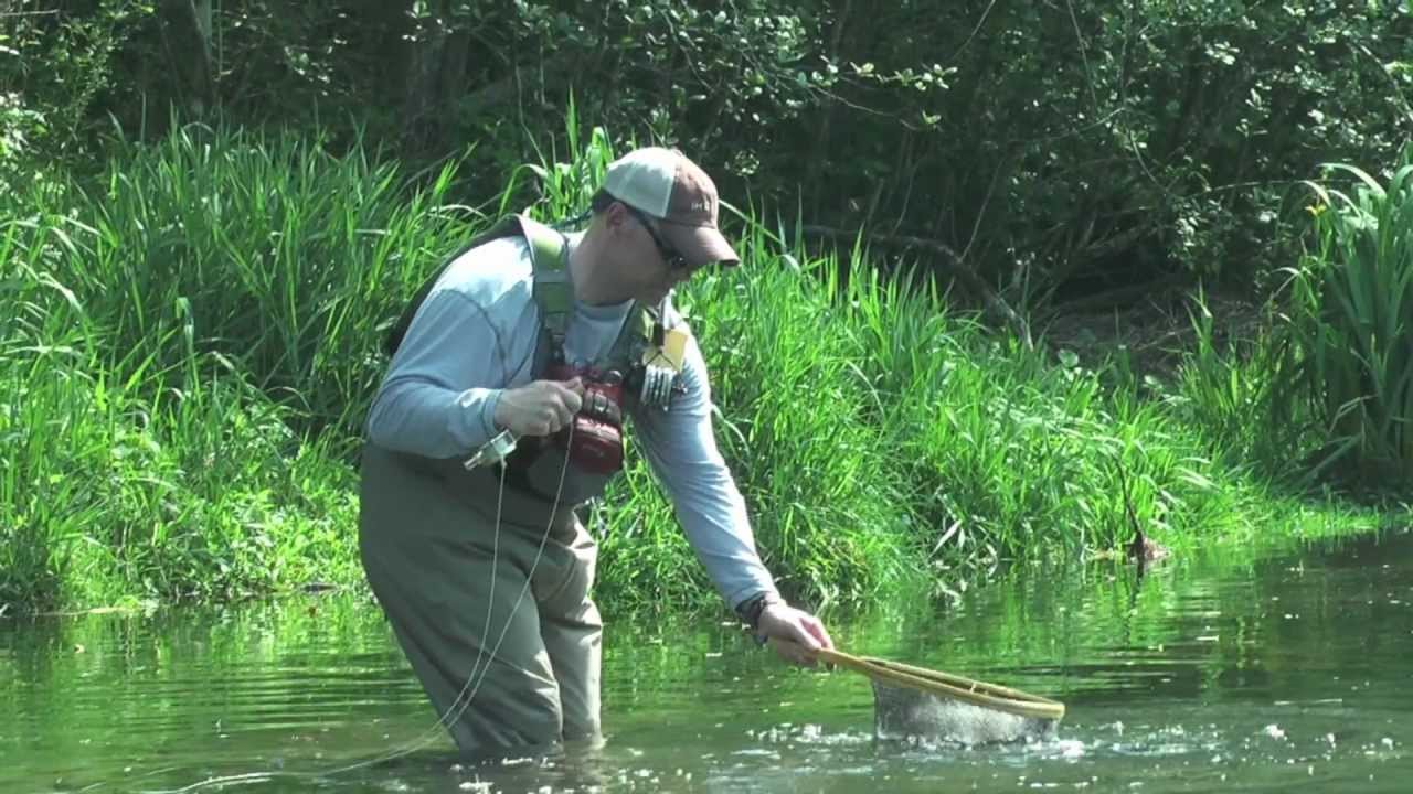 Tennessee Fly Fishing - YouTube