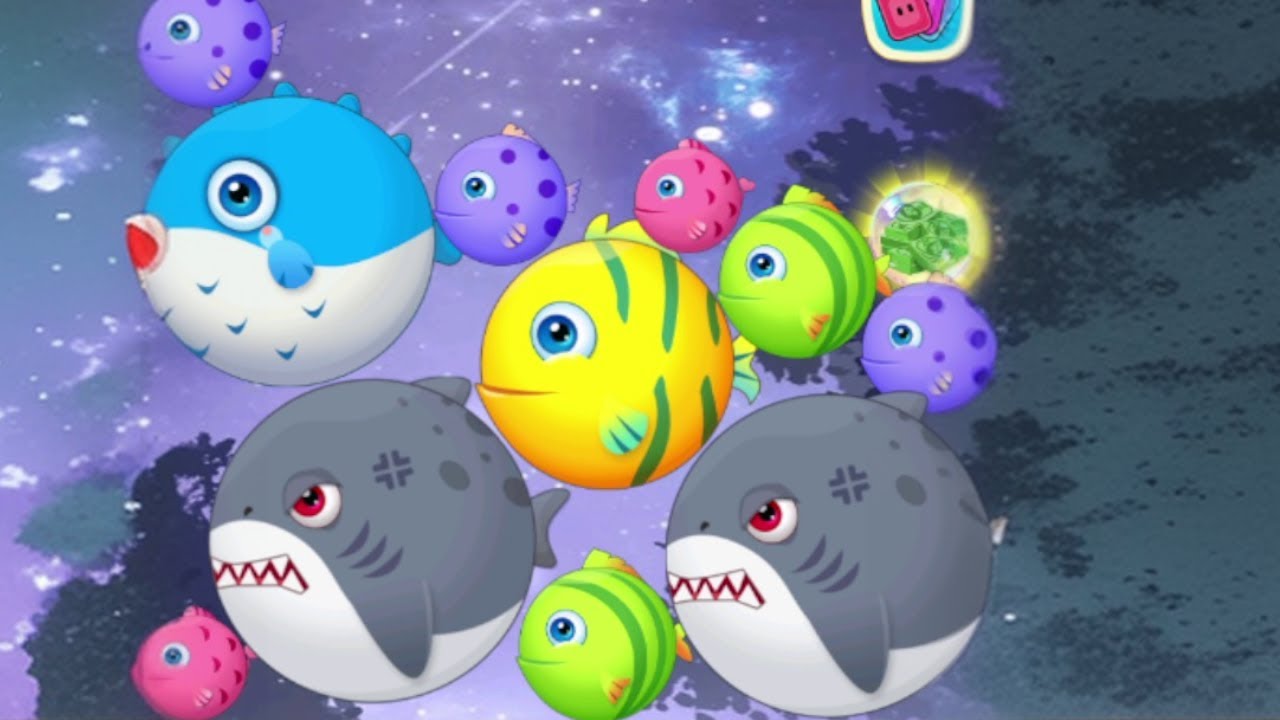 Marine Fish Merge 2025 - YouTube