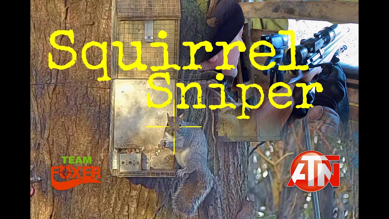 Squirrel Sniper #2 - YouTube