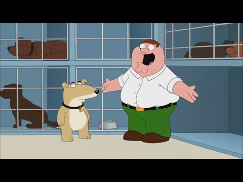 Family Guy - Yeni köpek (Türkçe Dublaj)