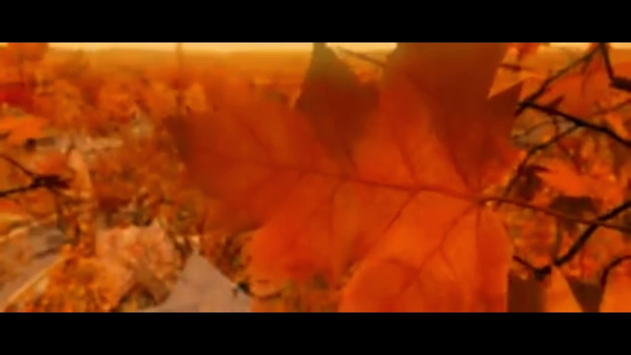 Monster House Opening Scene - YouTube
