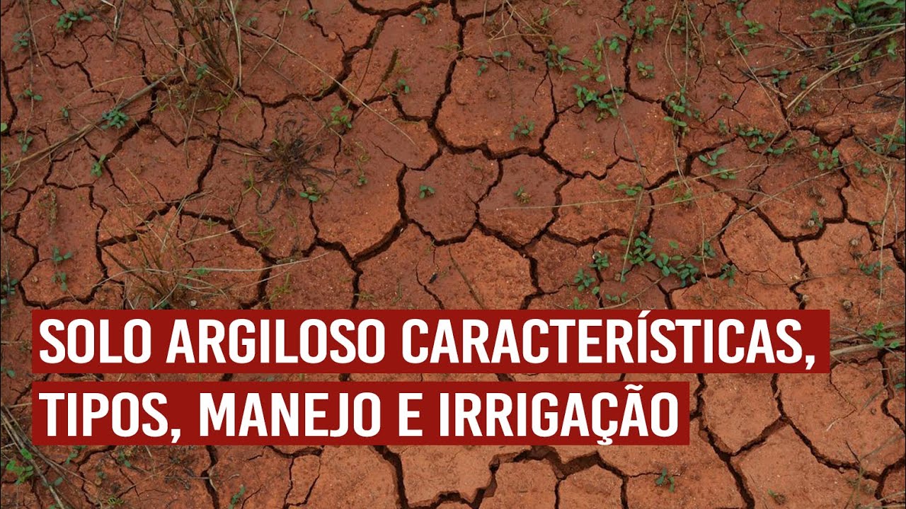 Solo argiloso: características, tipos, manejo e irrigação - YouTube