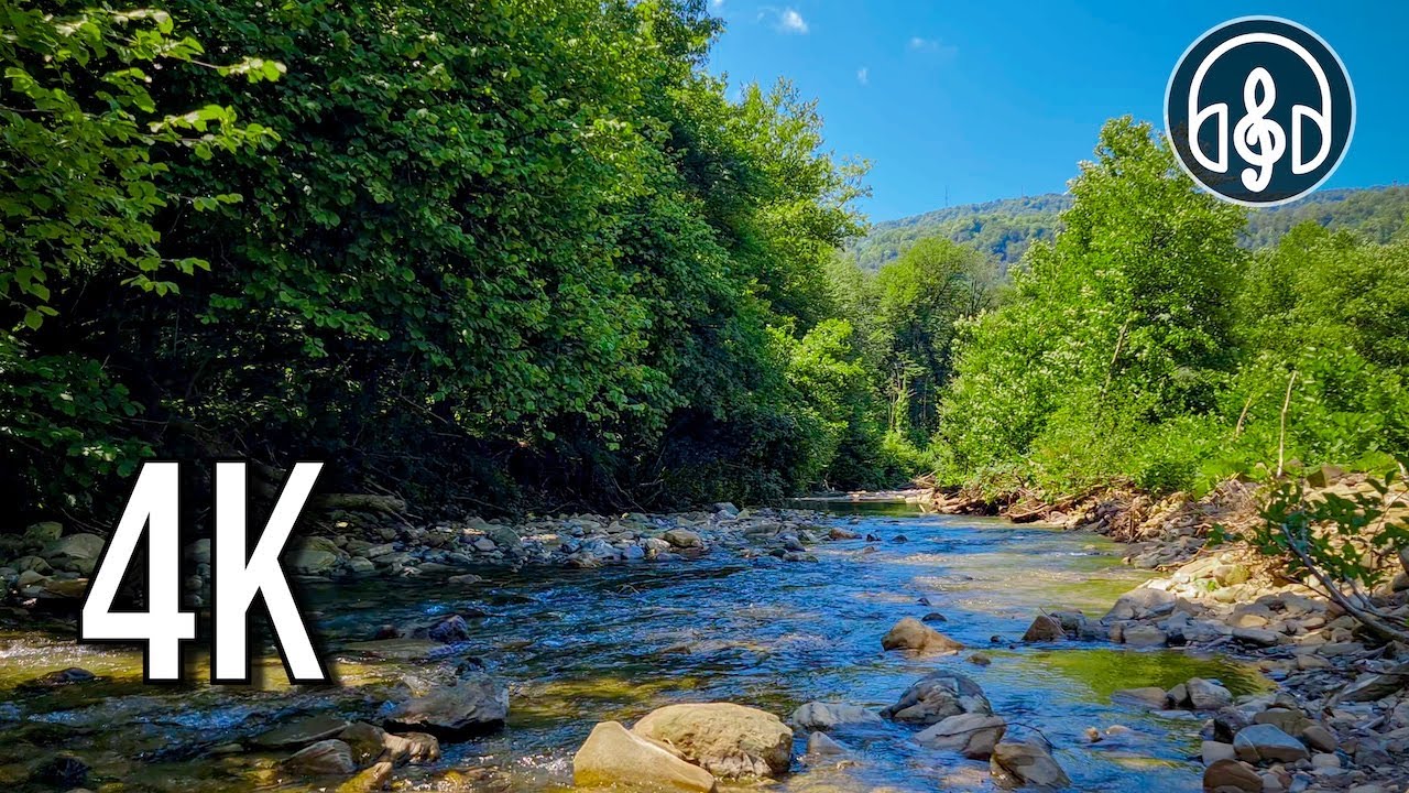 Beautiful spring nature. The gentle sounds of the river with the ...