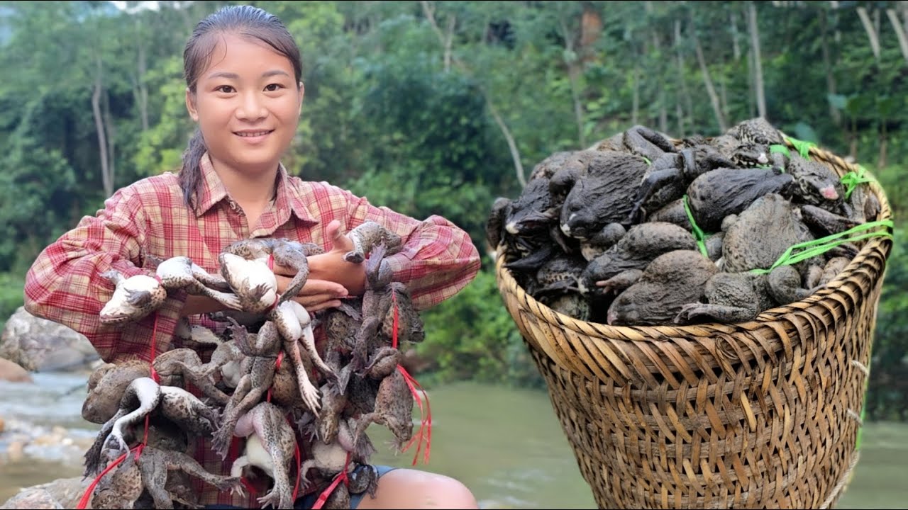Vietnamese girl goes alone into the forest to catch frogs for a living ...