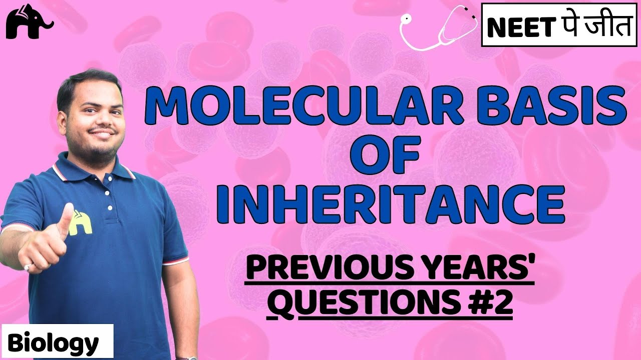 Molecular Basis of Inheritance Class 12 Biology NEET | NCERT Chapter 6 ...