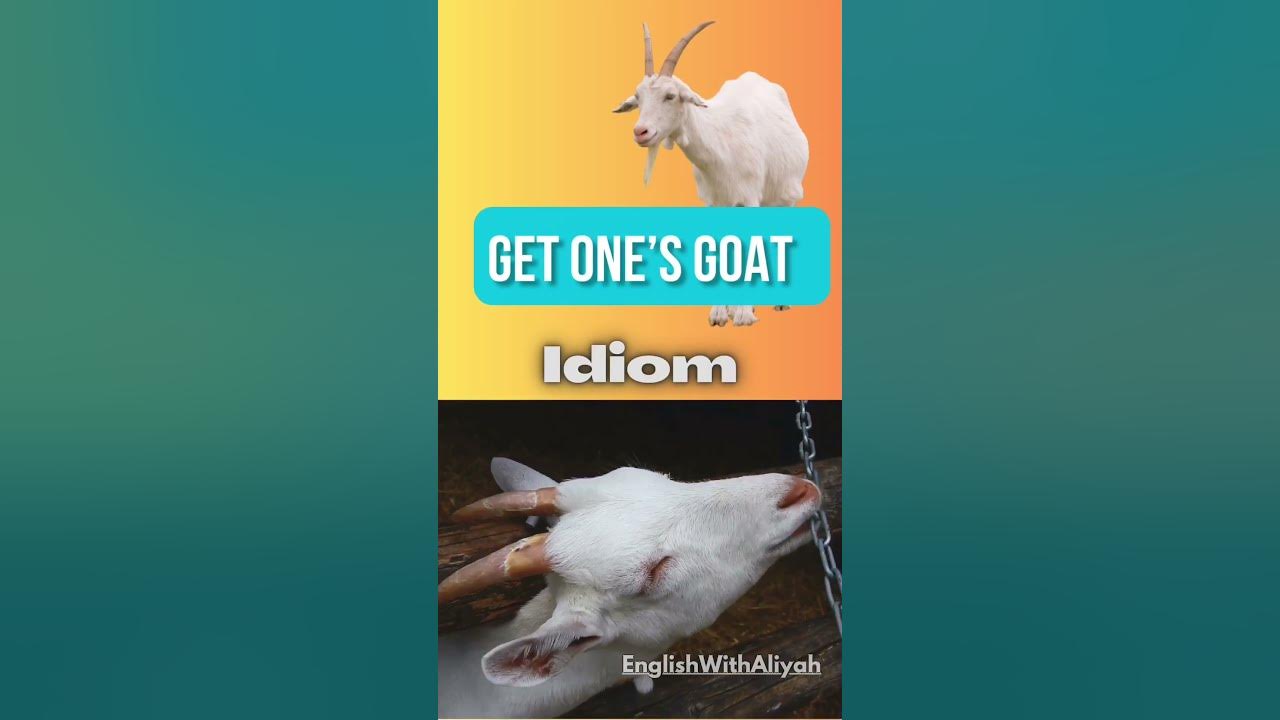 English Idiom Get One’s Goat🐐😬 #english #idiom @englishwithaliyah - YouTube