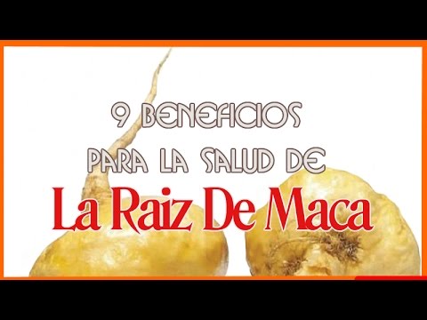 La Raiz de Maca - 9 Beneficios Para La Salud De La Raiz De Maca - YouTube