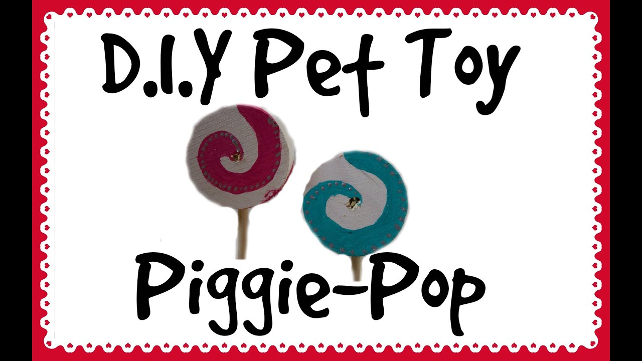 Piggie-Pop *Guinea Pig Lollipop - D.I.Y Pet Toy* - YouTube