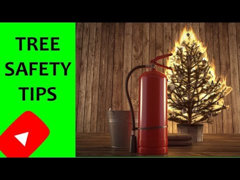 Christmas Tree Fire Safety Tips - YouTube