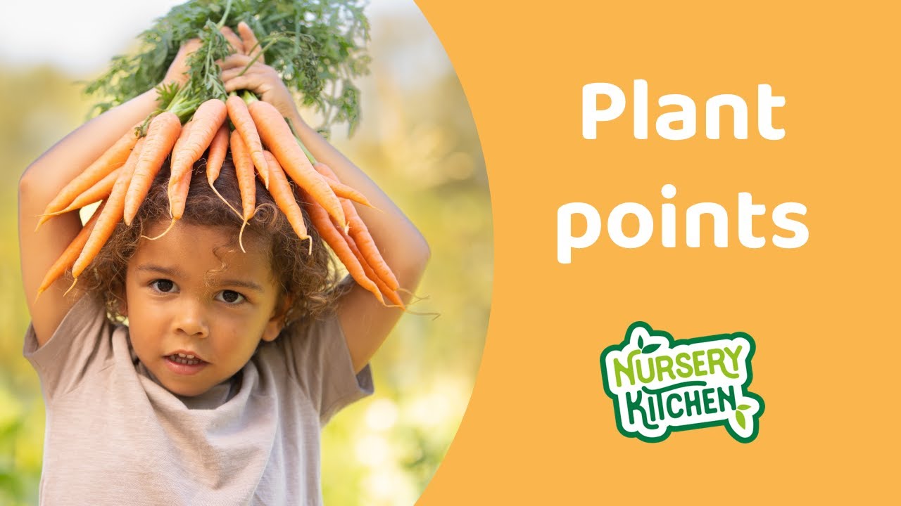Plant Points - Explained - YouTube