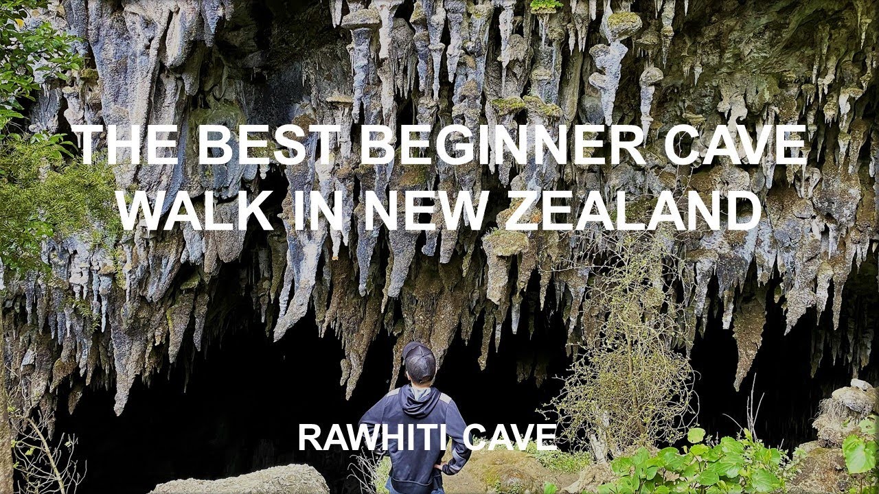 The BEST Beginner CAVE Walk in New Zealand - Rawhiti Cave - YouTube