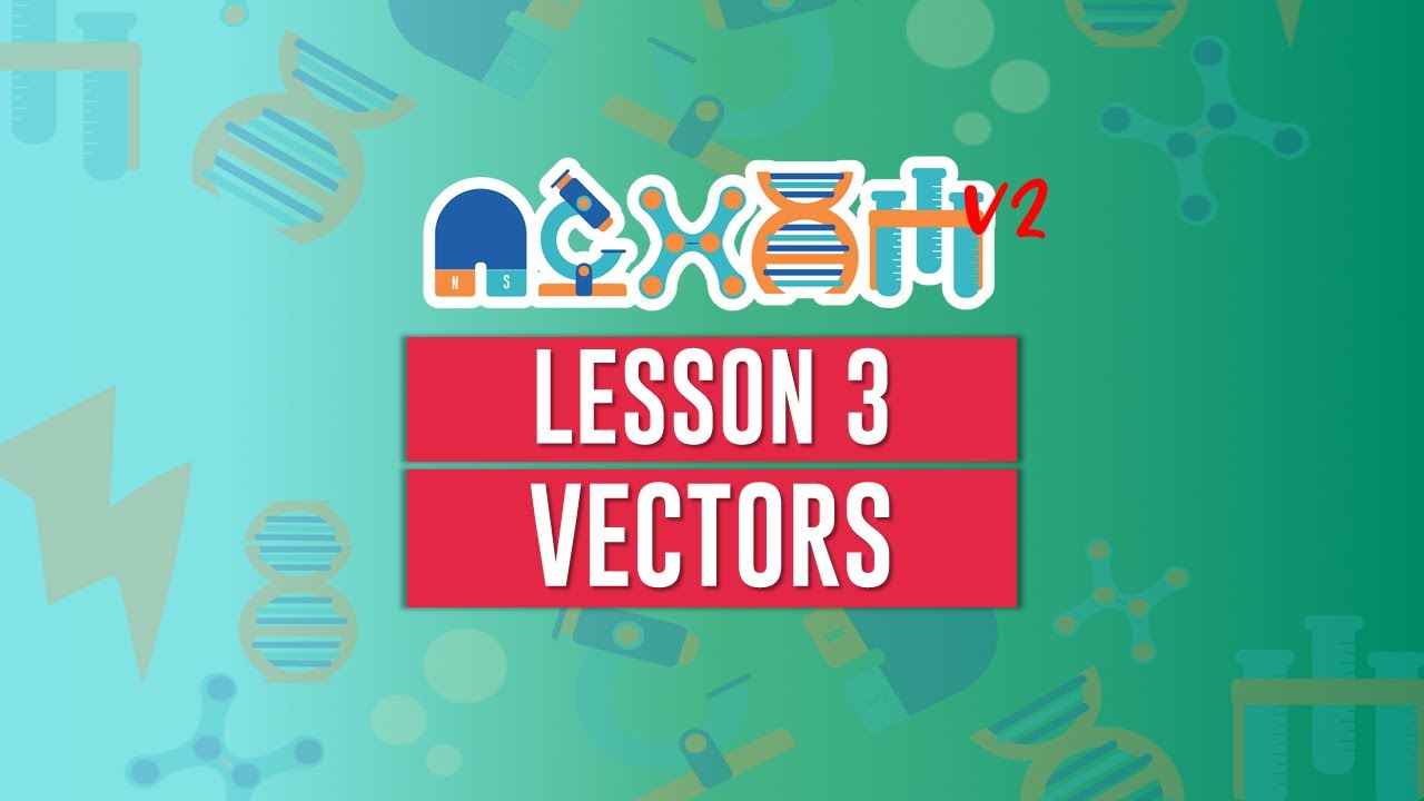 Q1 L3 Part 1 - Vectors - YouTube