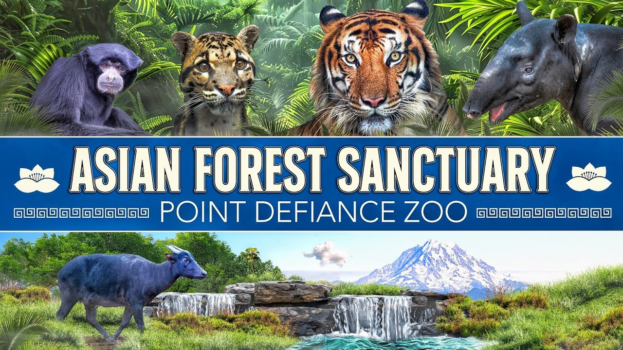 Zoo Tours: Mixup Madness | Asian Forest Sanctuary | Point Defiance Zoo ...