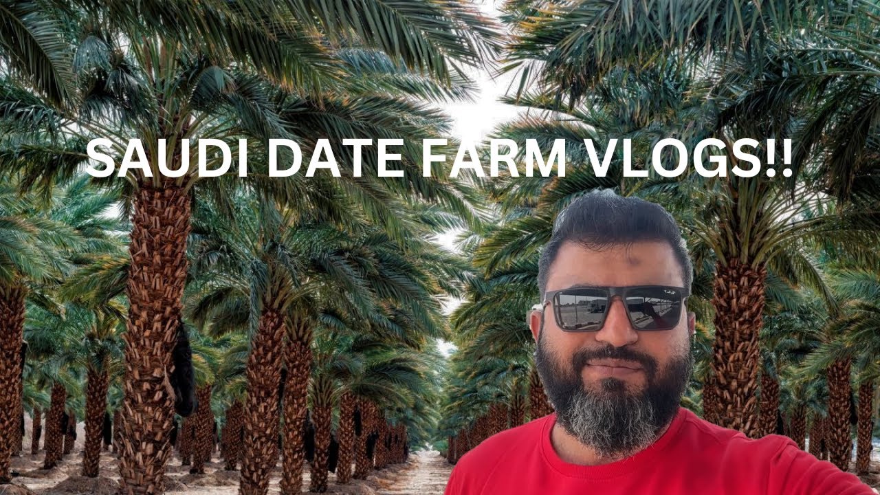 Saudi Date Farm Vlogs Part 2! - YouTube