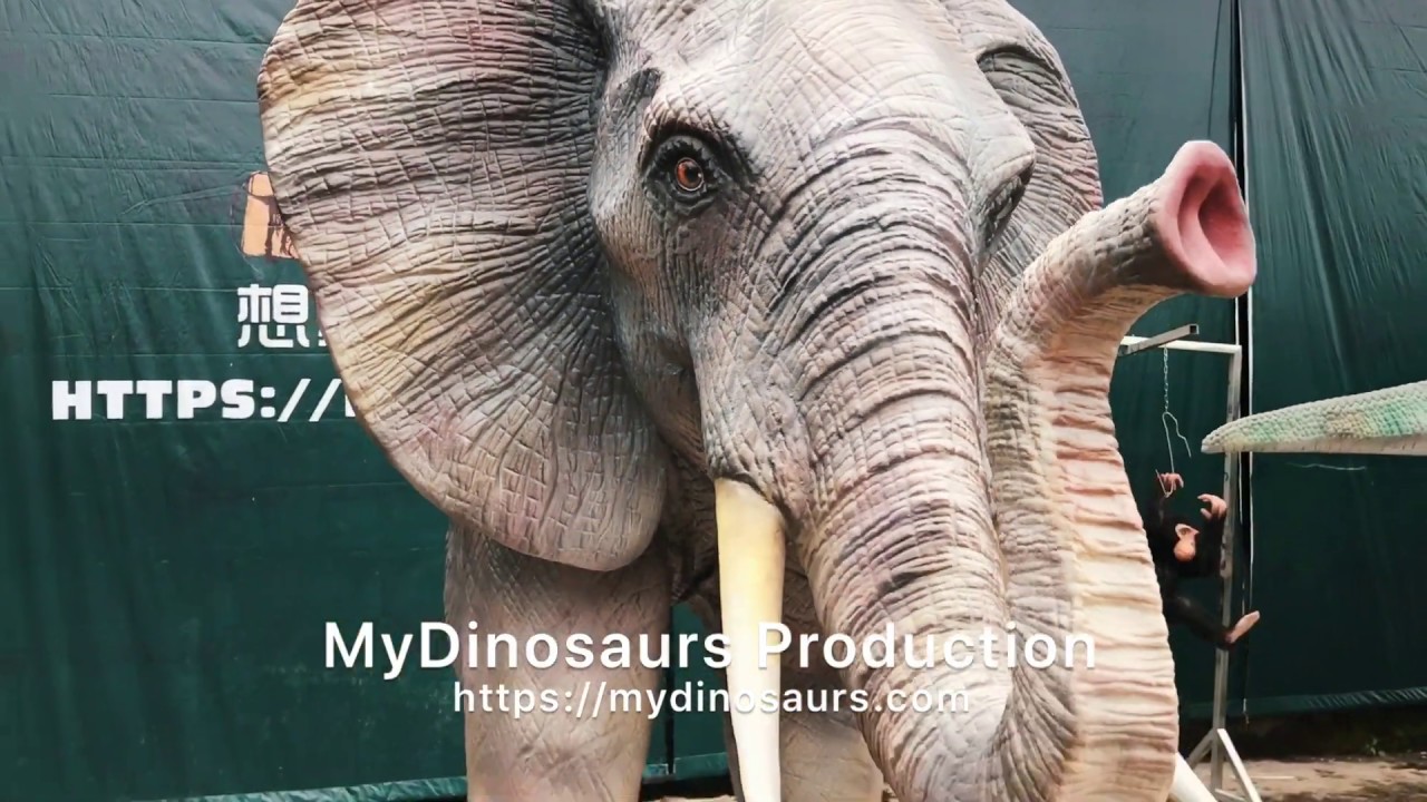 Customized Half Body Elephant - YouTube