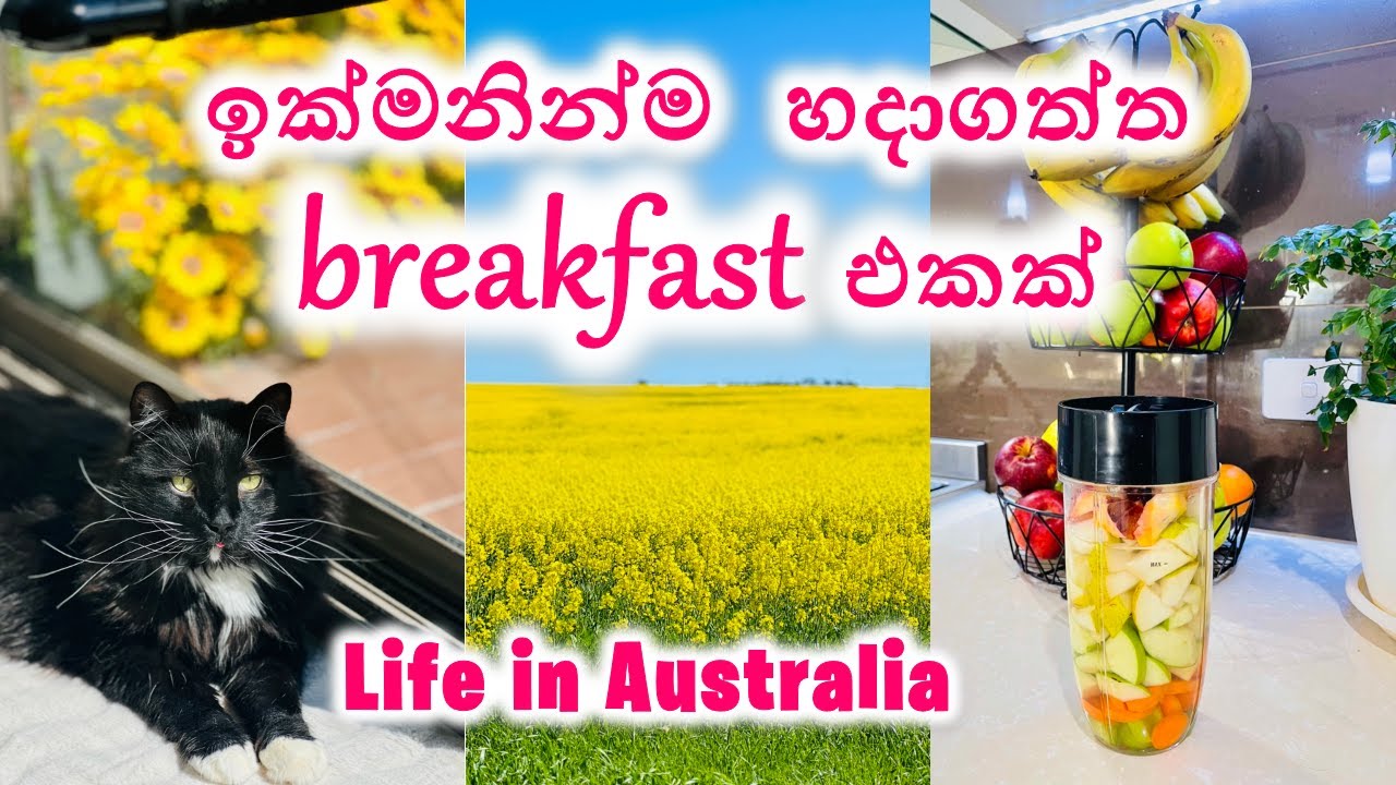 වසන්තයේ ලස්සන දවසක් | Healthy Breakfast Recipe| A Day in My Life ...