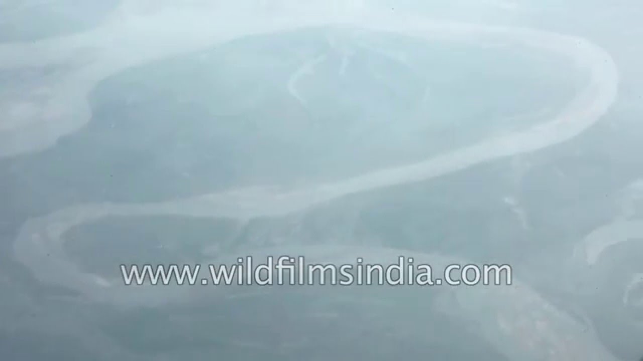 Braided channels of the Brahmputra river and Oxbow lake seen aerially ...