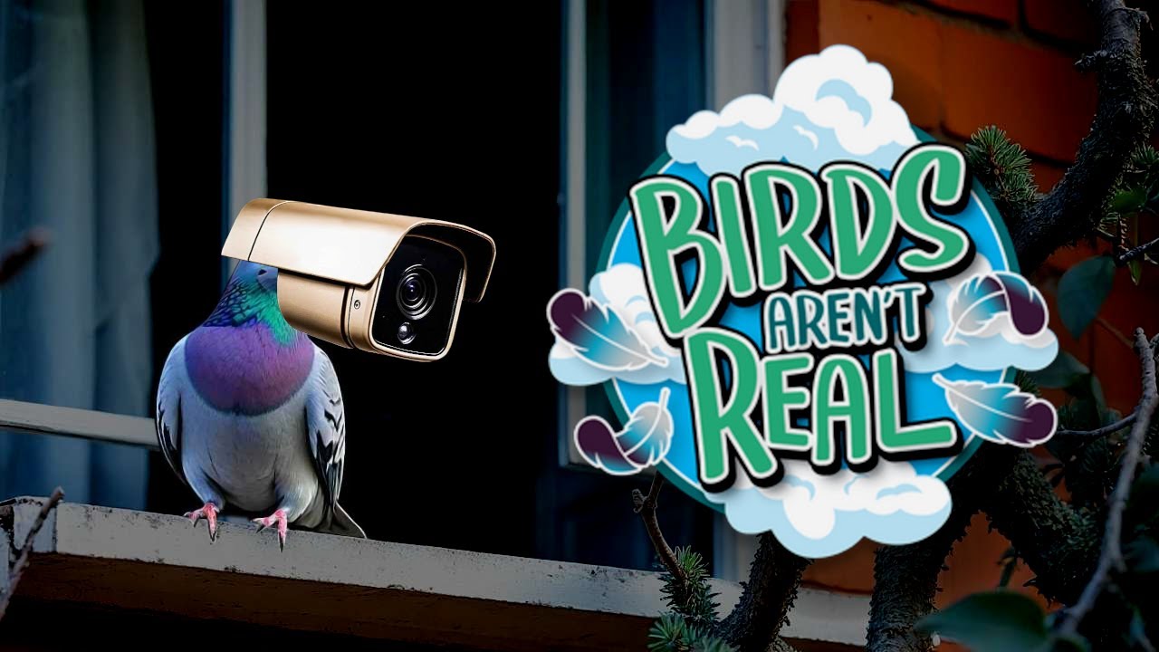 🟢 Imma Fake Bird Surveilling the Public ⧸ Birds Aren't Real - YouTube