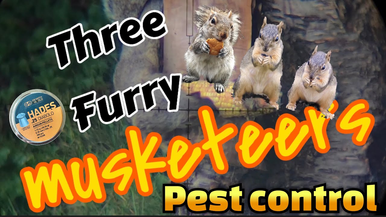 Three Furry Musketeer’s/ pest Control - YouTube