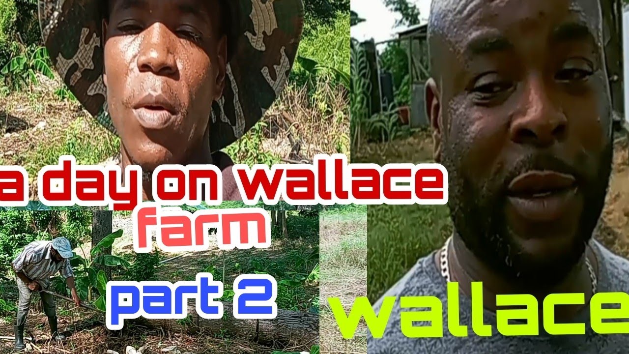 on wallace farm doing some work me and the team part 2 - YouTube