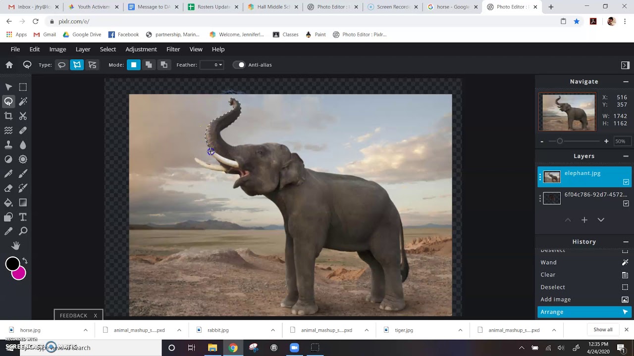 PIXLR Animal Mashup Polygon Lasso - YouTube