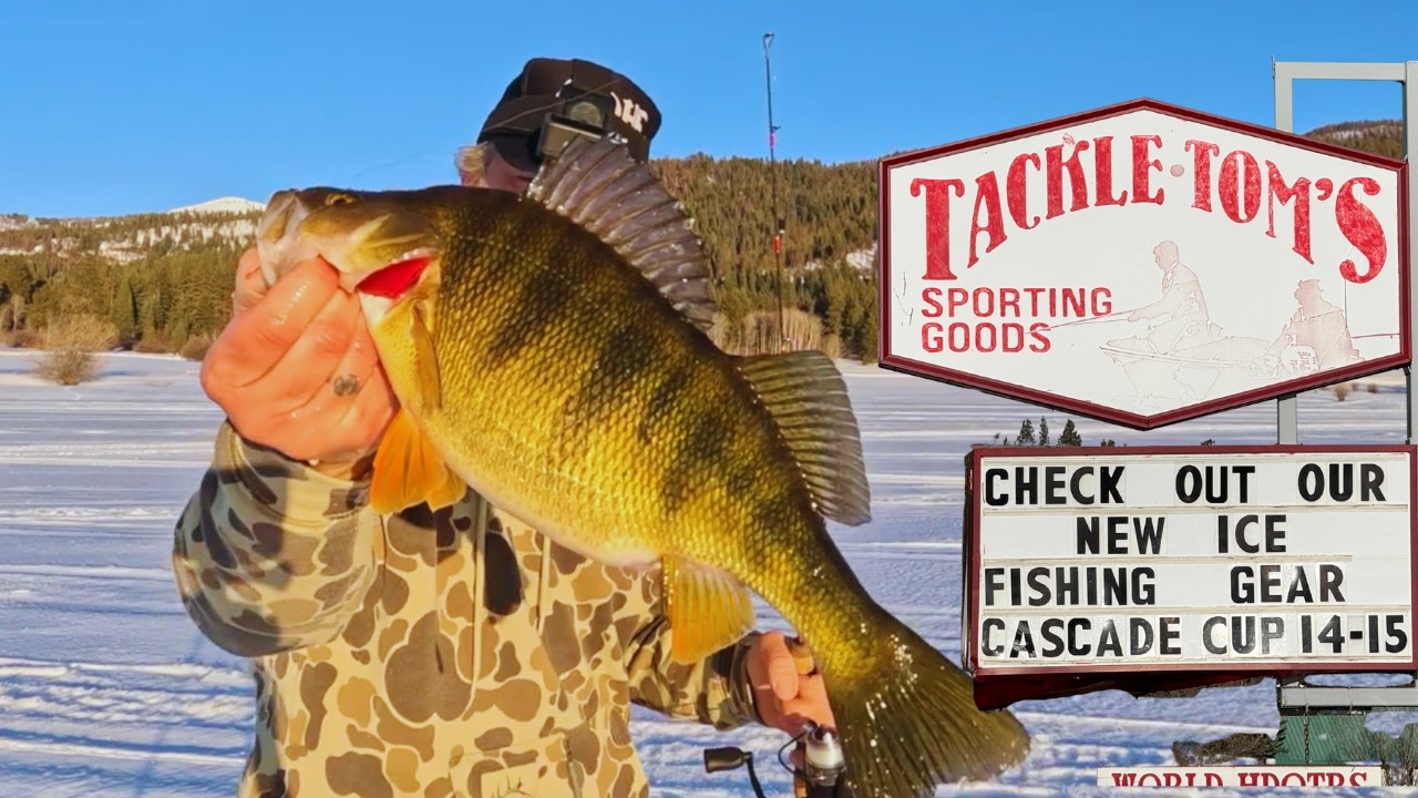 ALL the TACKLE you NEED to CATCH GIANT Lake Cascade PERCH (and we're ...
