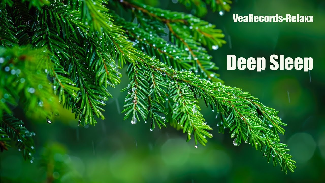 Deep Sleep----Relaxing Music with Nature Sounds for relaxation ...