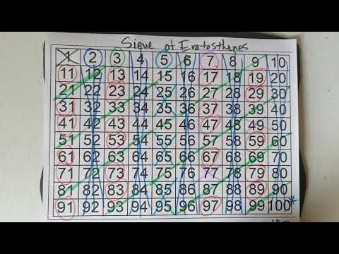 Prime Numbers, Algorithms, and Cryptography Exercises - YouTube