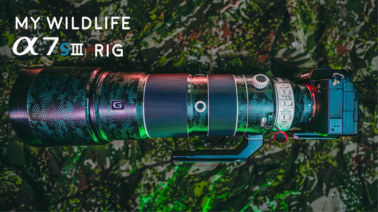 Sony A7s iii Wildlife Rig & Setup - On the field test. - YouTube