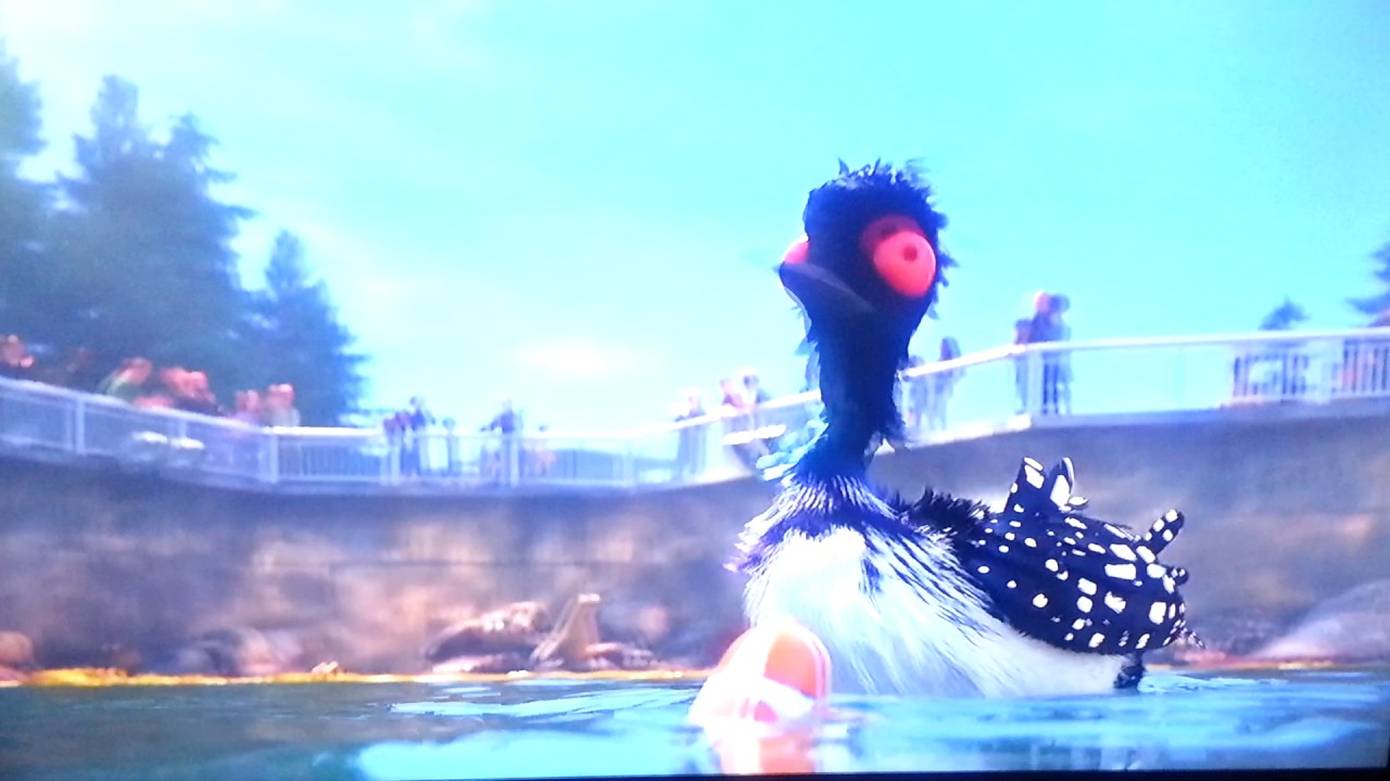 Jerauld Seal From Finding Dory 2 YouTube jerauld-seal-from-finding-dory-2-youtube