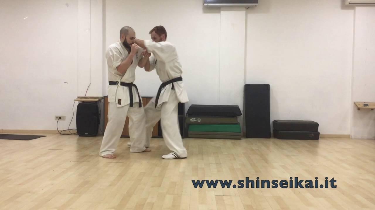 Shinseikai Karate Video Tutorial - Sabaki Basics - YouTube