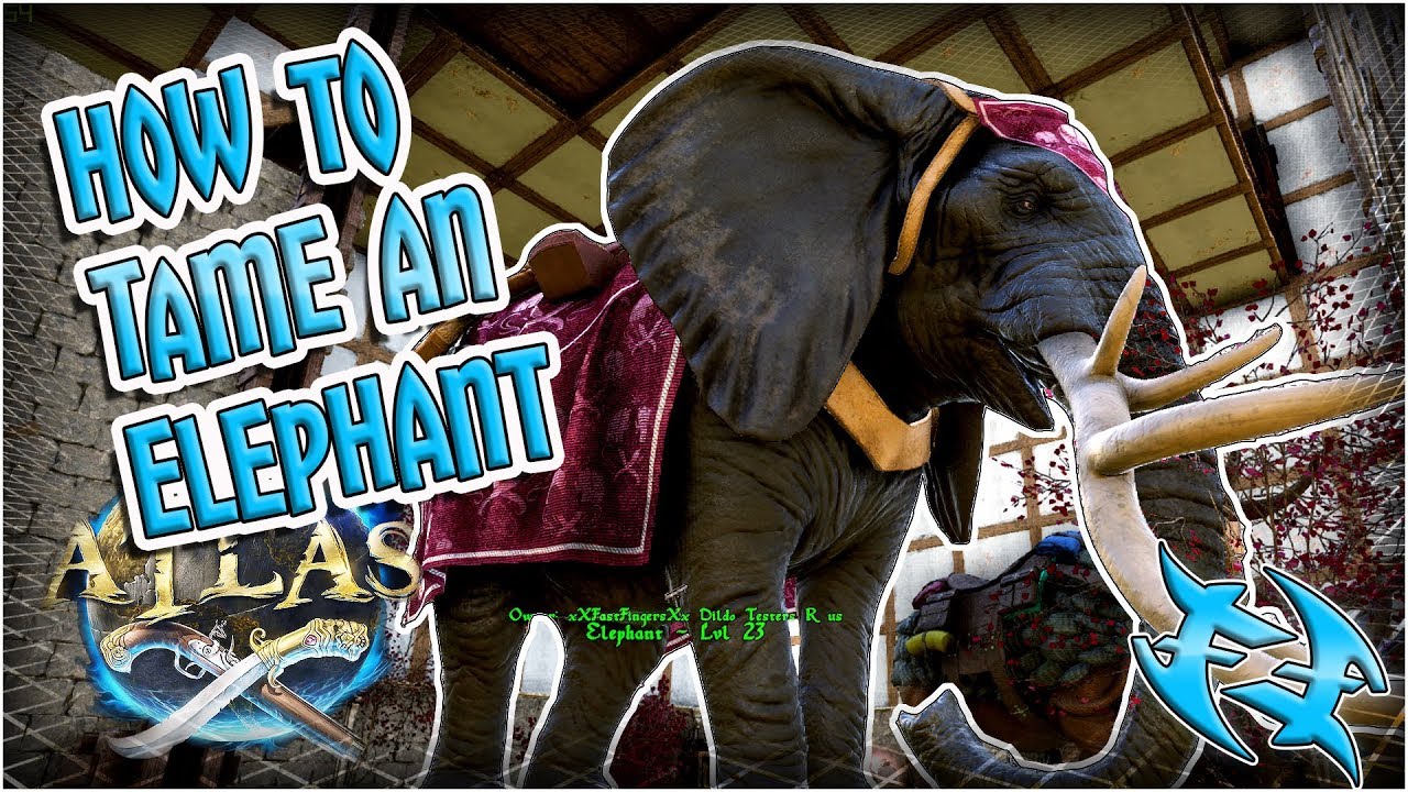 ATLAS - How to tame a ELEPHANT - #Atlas #xxfastfingersxx - YouTube