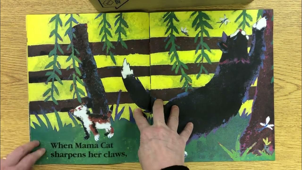 Mama Cat Has Three Kittens by Denise Fleming read aloud book - YouTube