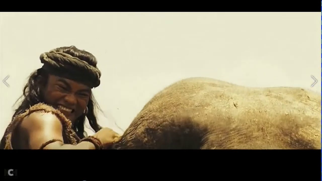 Man vs Elephant's racing - YouTube