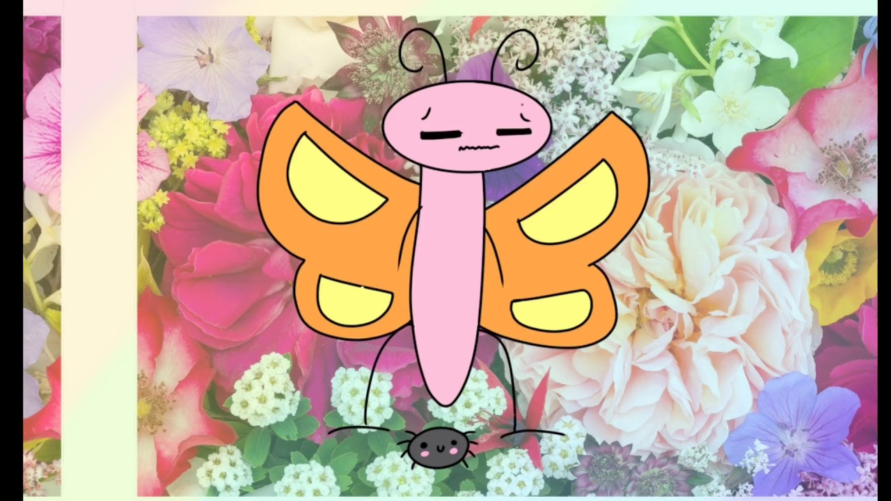 Butterfly pooped a spider meme - YouTube