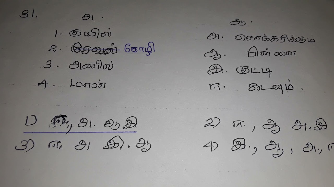 Grade 11 Tamil YouTube grade-11-tamil-youtube